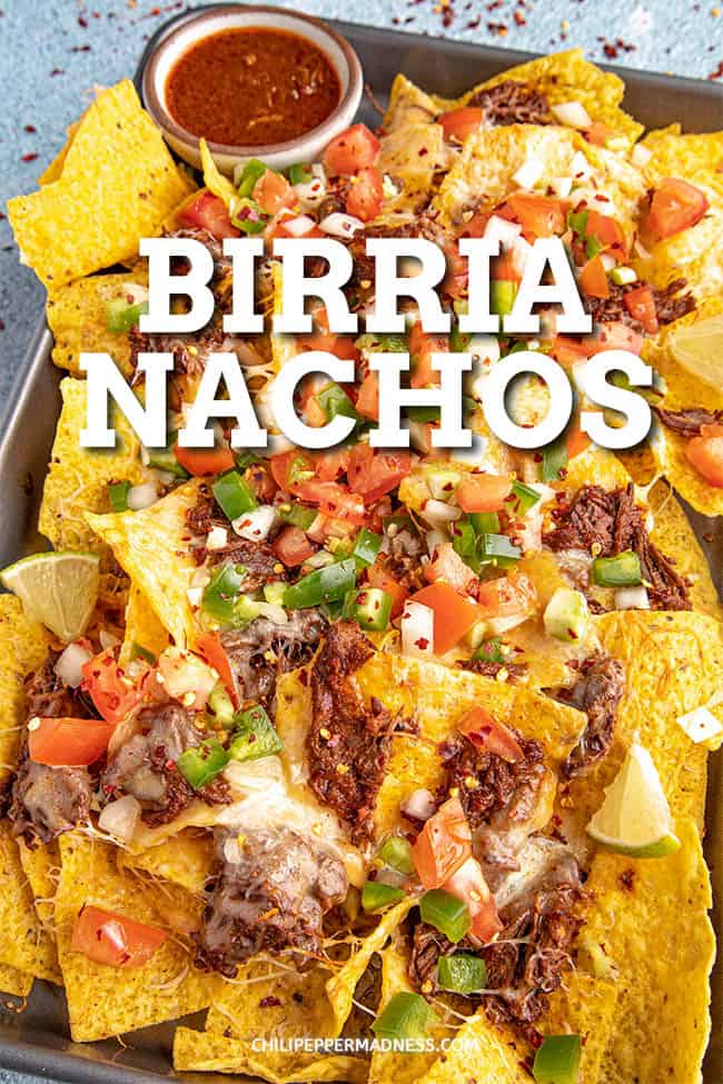 Birria Nachos - Chili Pepper Madness