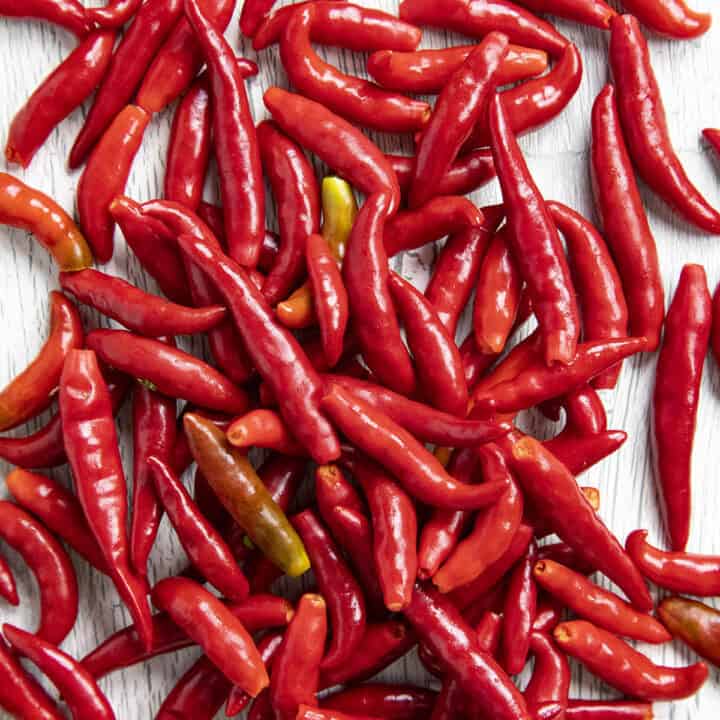Pepper Info - Chili Pepper Madness