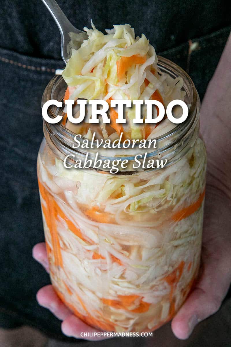 Curtido (Salvadoran Cabbage Slaw) - Chili Pepper Madness
