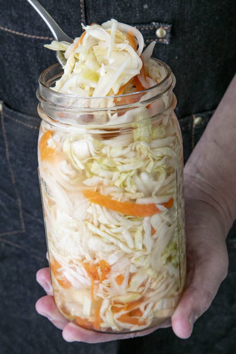 Curtido (Salvadoran Cabbage Slaw) - Chili Pepper Madness