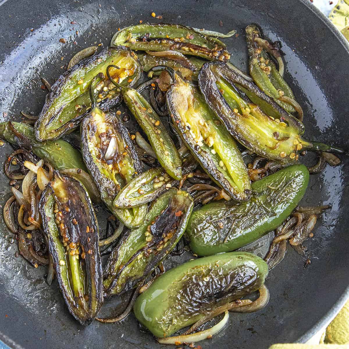 Chiles Toreados Recipe: Mexican Blistered Peppers - Chili Pepper Madness