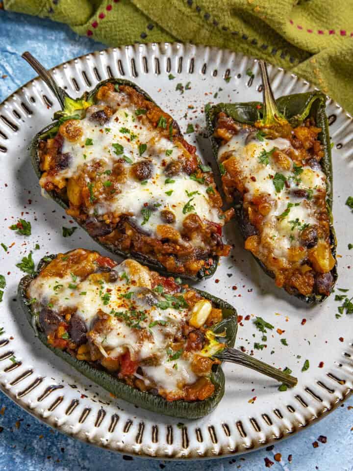 Chili Pepper Recipes - Chili Pepper Madness