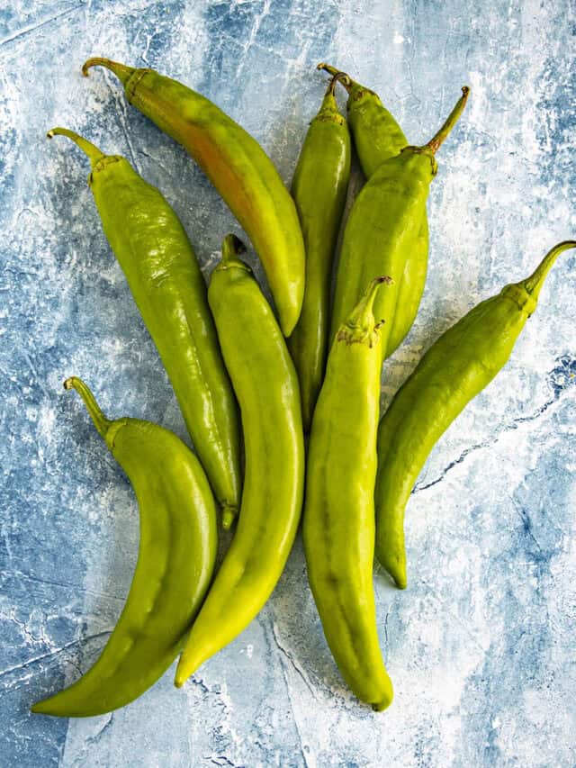 Capsicum Annuum - Page 2 of 3 - Chili Pepper Madness