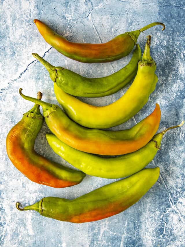 Capsicum Annuum - Page 2 of 3 - Chili Pepper Madness