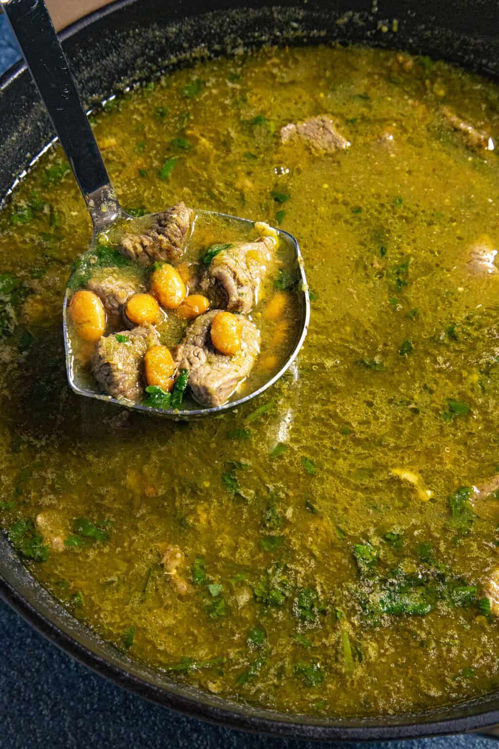 Carne en su Jugo (Meat in its Juices) - Chili Pepper Madness