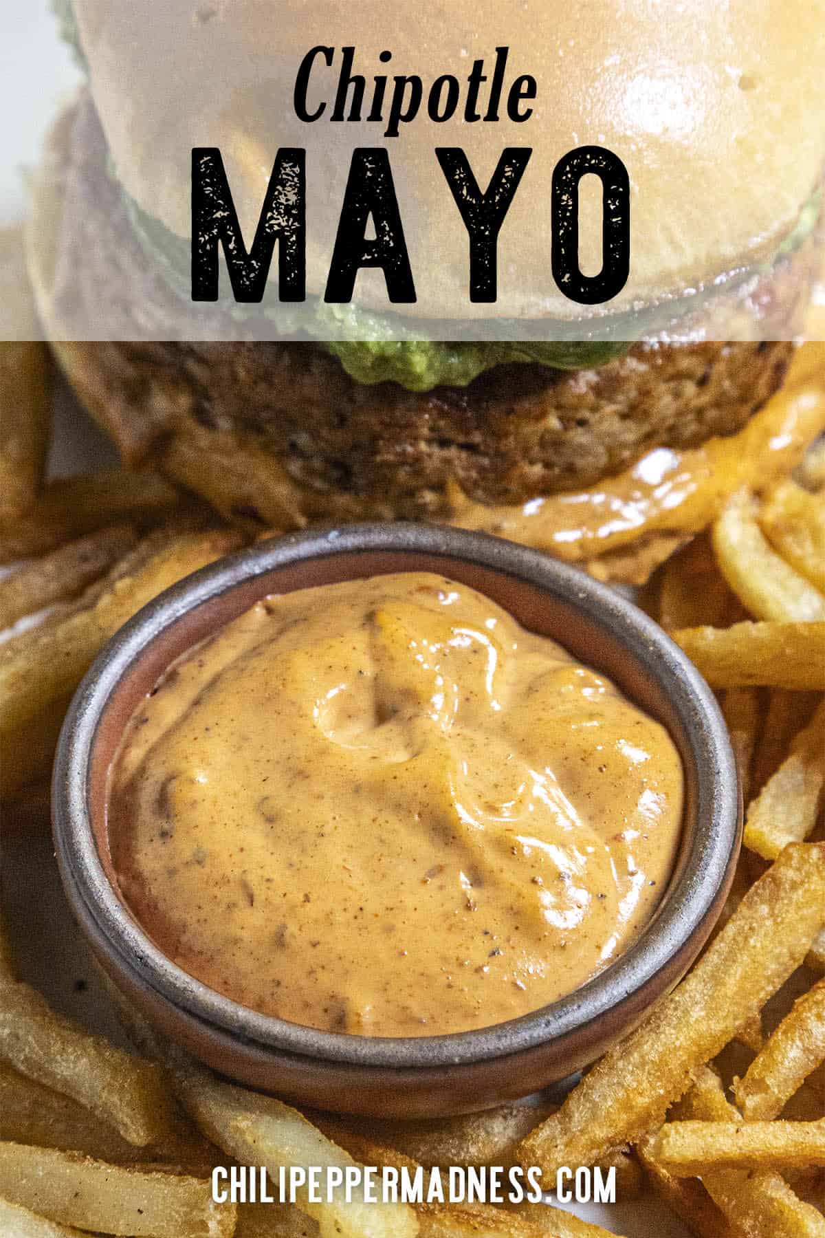 Chipotle Mayo Recipe - Chili Pepper Madness