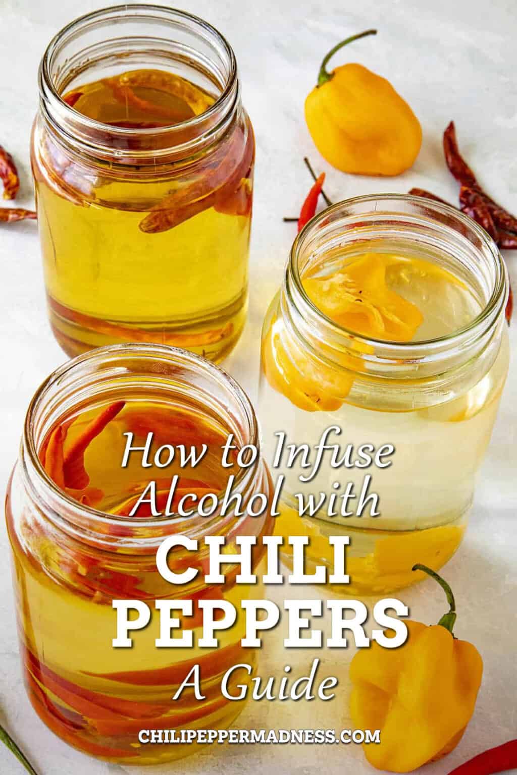 How to Infuse Alcohol with Chili Peppers - A Guide - Chili Pepper Madness