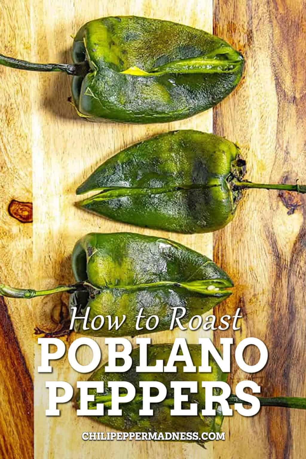 How to Roast Poblano Peppers - Chili Pepper Madness