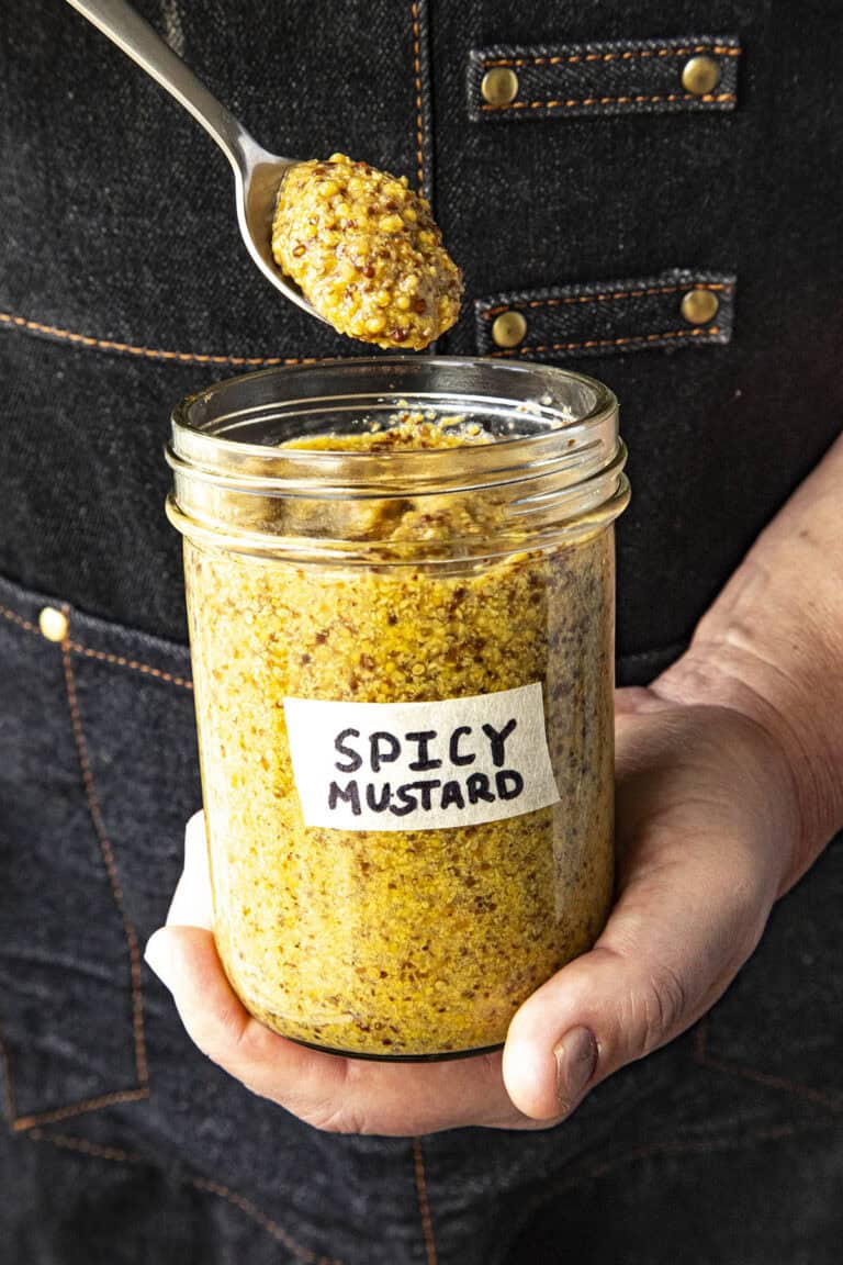 Homemade Honey Beer Mustard Recipe - Chili Pepper Madness