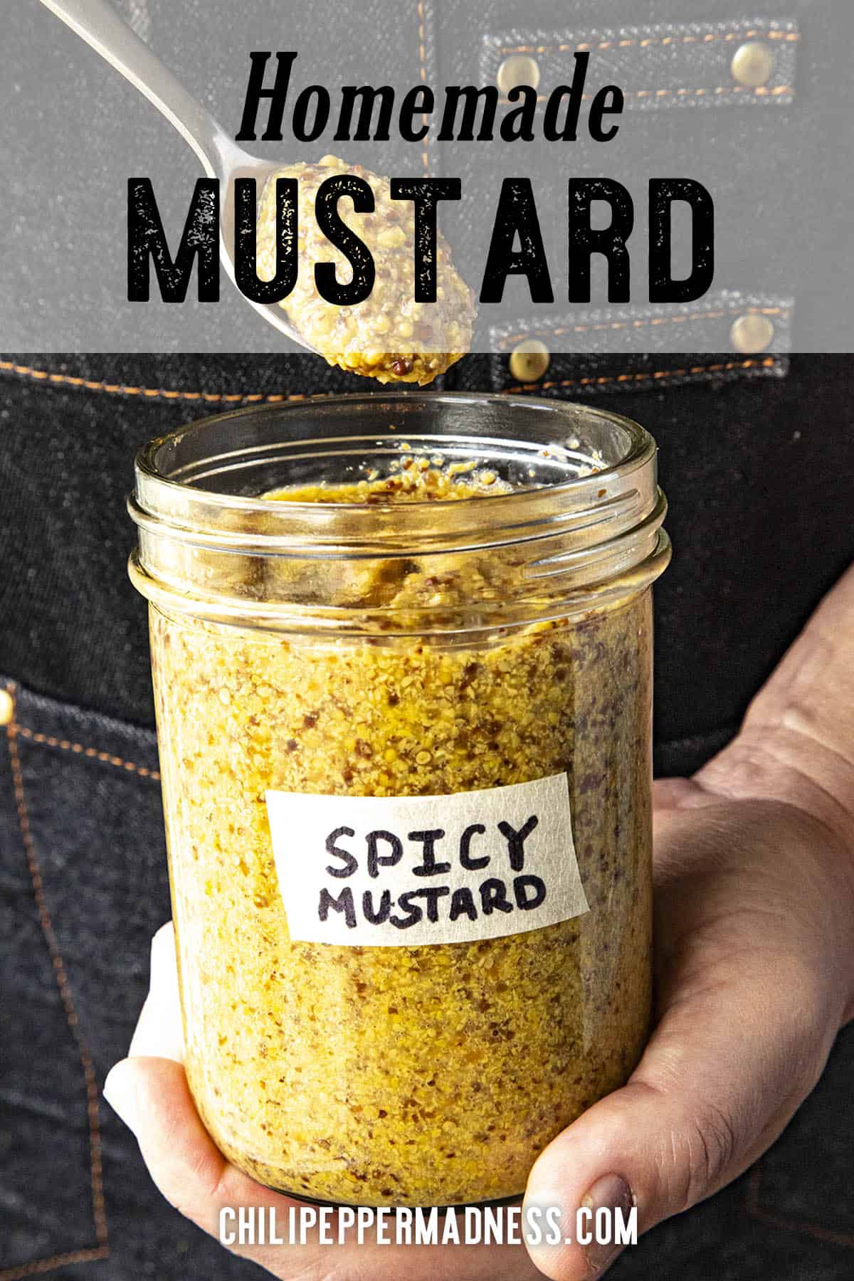 Homemade Honey Beer Mustard Recipe - Chili Pepper Madness
