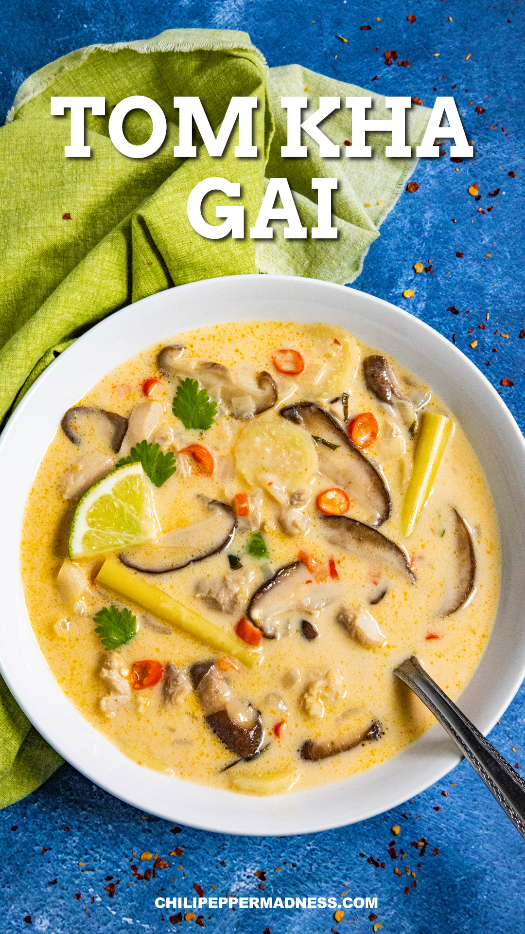 Tom Kha Gai Recipe (Thai Coconut Chicken Soup) - Chili Pepper Madness