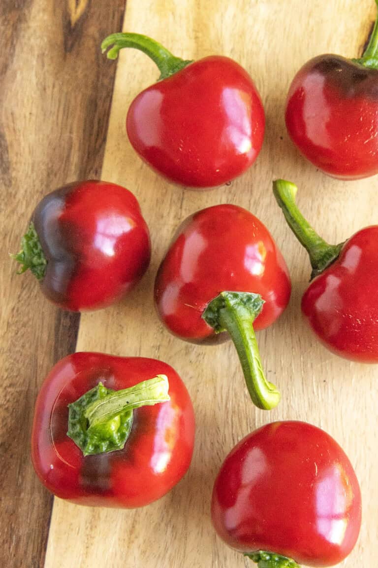 Medium Chili Peppers - list of chili peppers and their heat levels ...