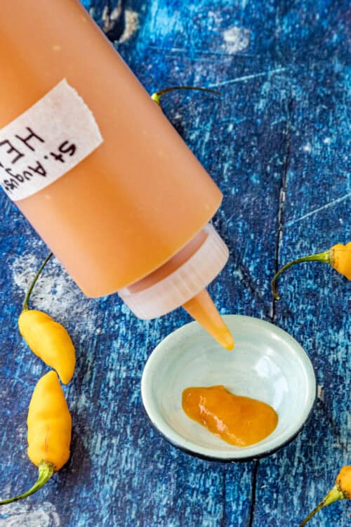 St. Augustine Heat Hot Sauce - Chili Pepper Madness