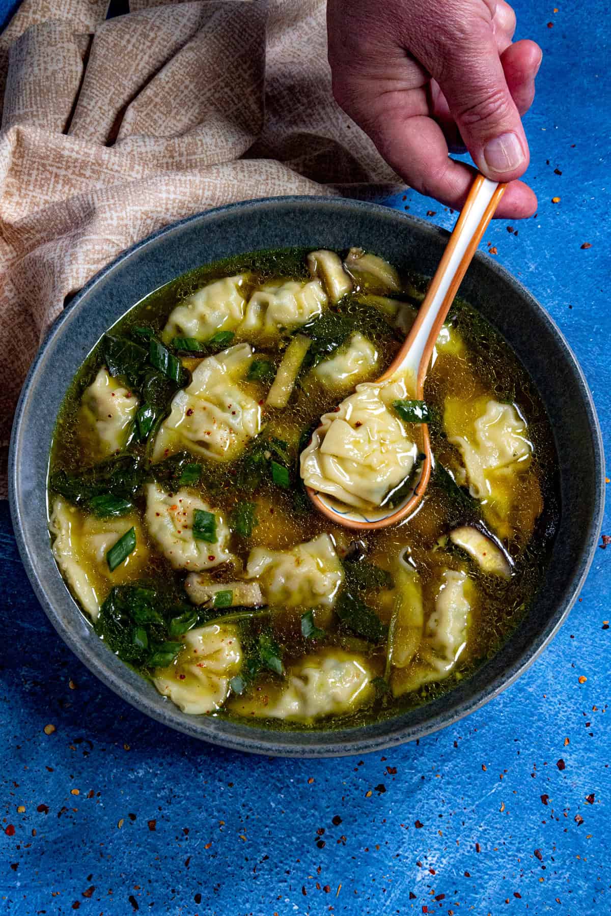 Easy Wonton Soup - Chili Pepper Madness