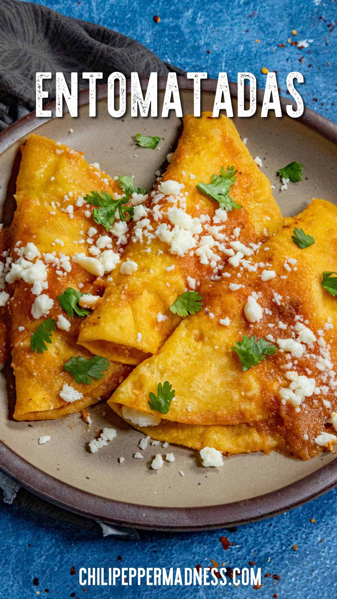 Entomatadas Recipe - Chili Pepper Madness